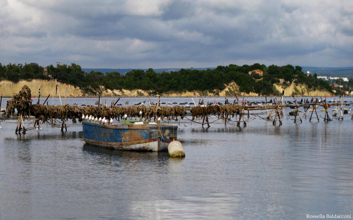 Mar Piccolo, introduzione